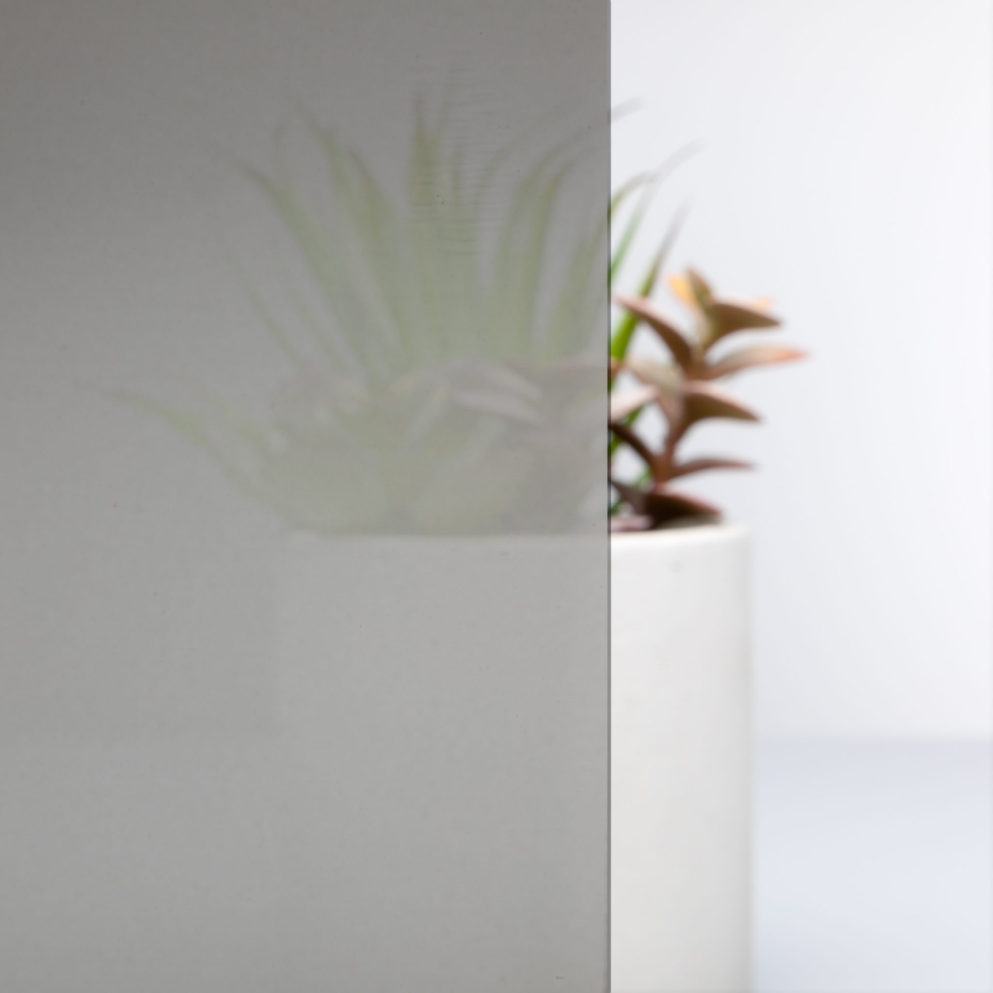 Glass Doors | Glass Options for Doors | Woodgrain