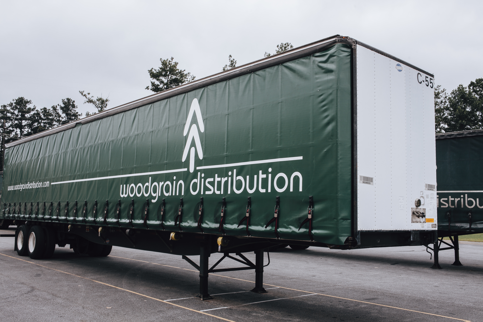 Celebrating 65 Years - Woodgrain