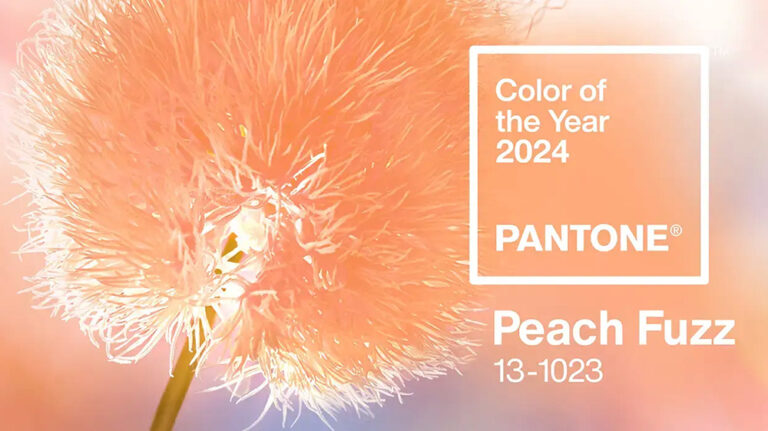 Peach Fuzz: The 2024 Pantone color of the year - Woodgrain