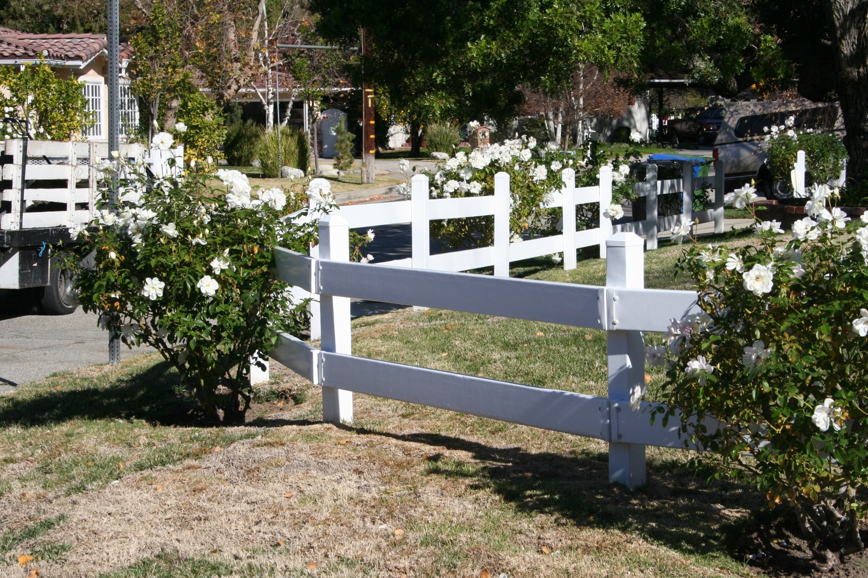 What Is Woodguard? - Woodgrain